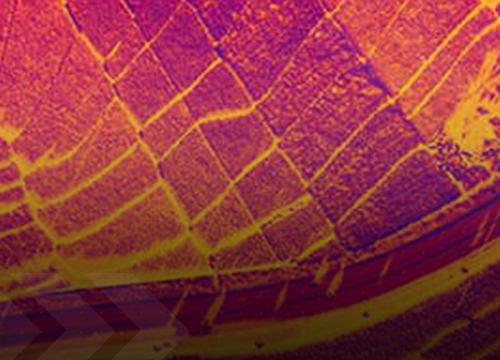 Technologie infrarouge | Exosens